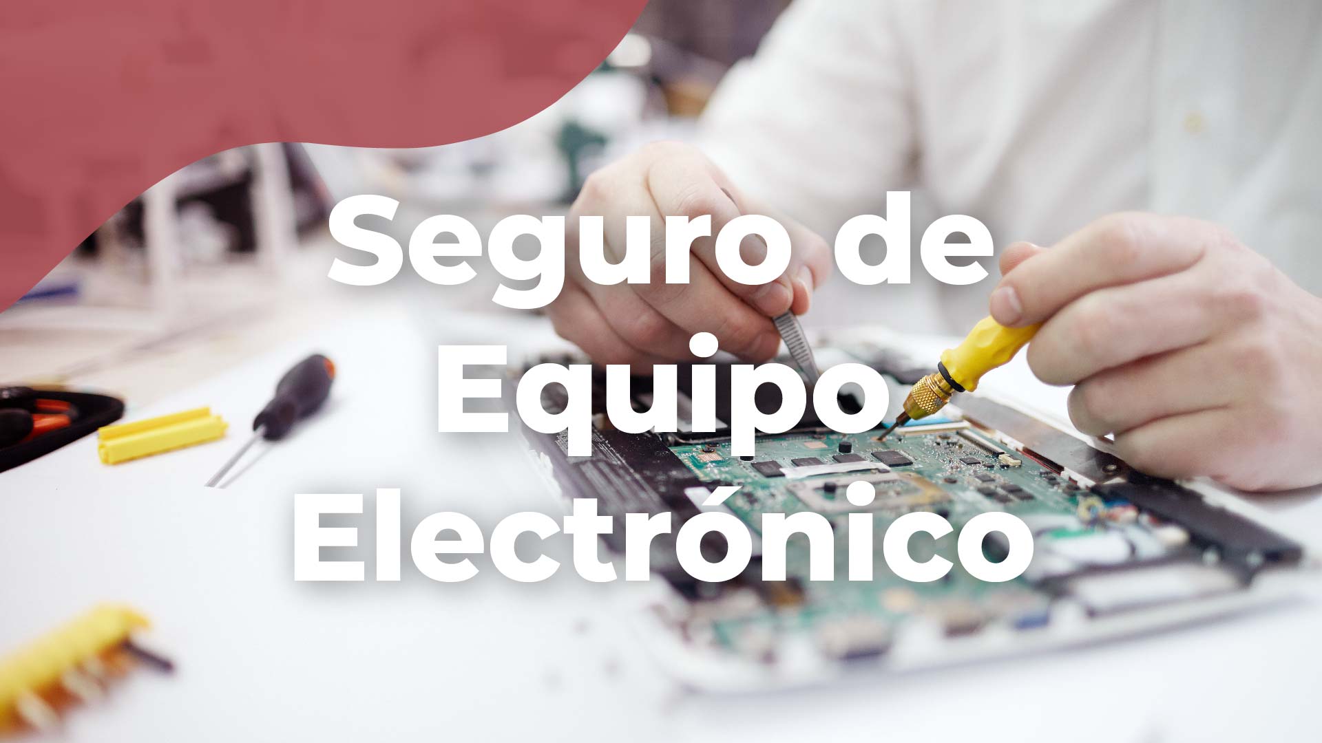 Seguro de Equipo Electrónico – Tecniseguros – Cursos Online