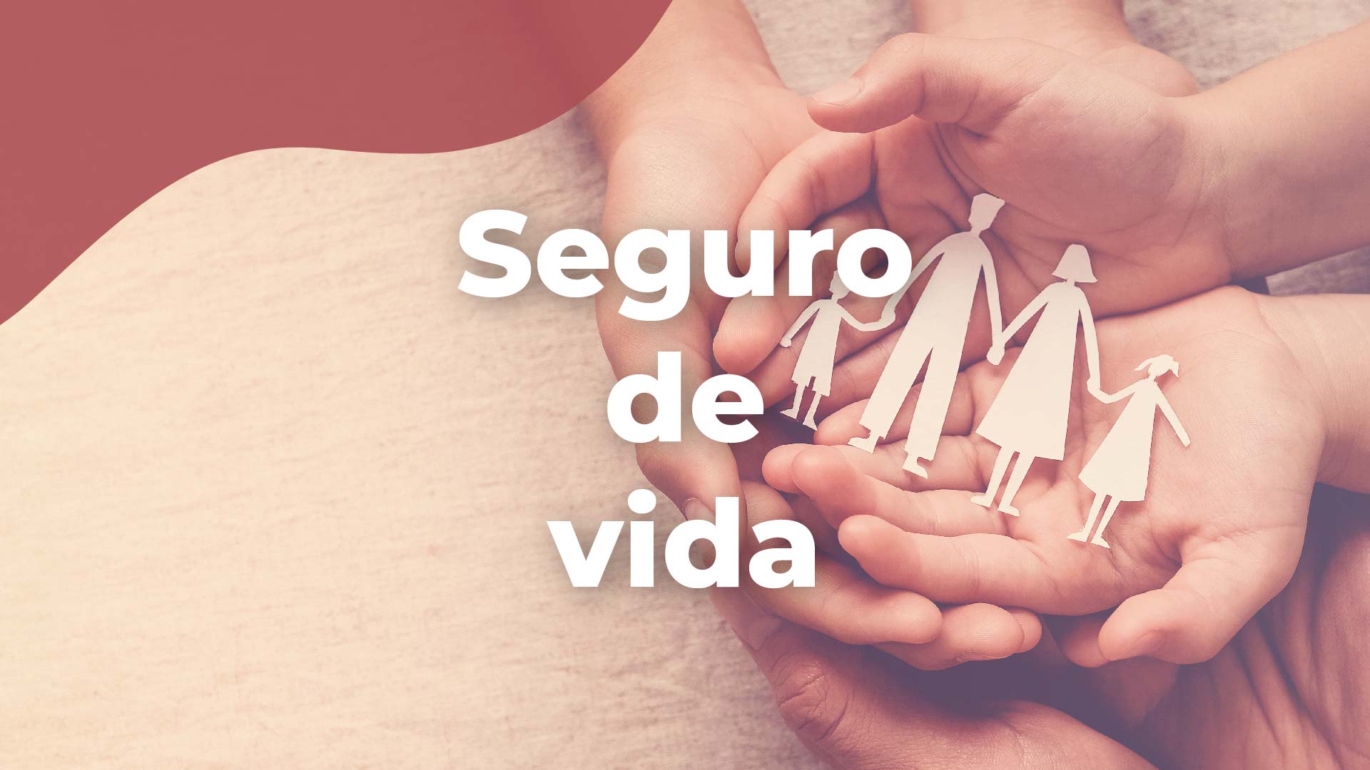 Seguro de Vida – Tecniseguros – Cursos Online