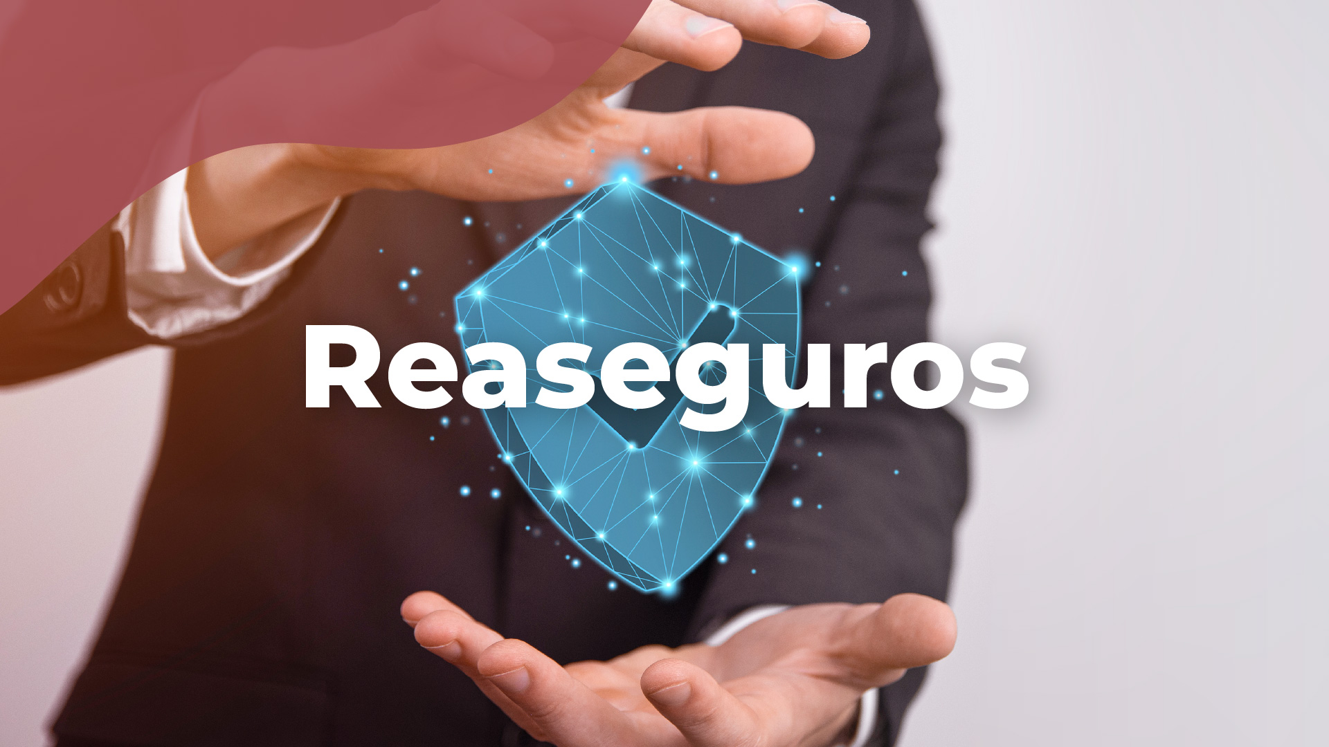 Reaseguros – Tecniseguros – Cursos Online